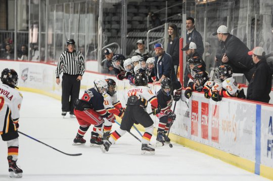 Birmingham Bulls Hockey : Powered by GOALLINE